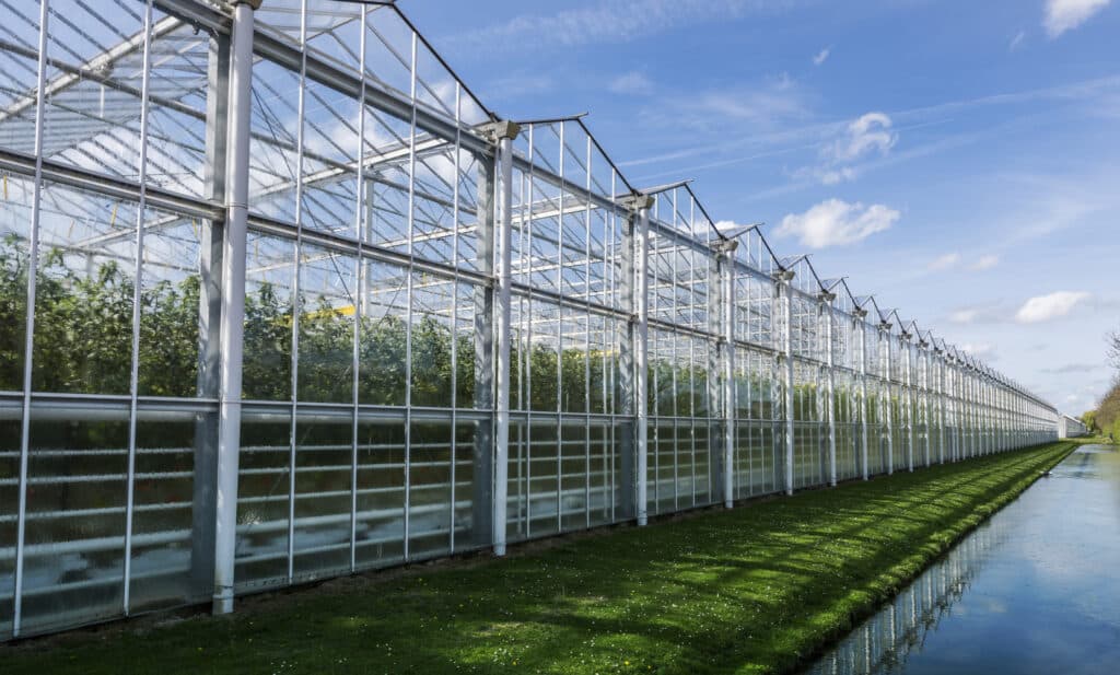 Klantverhalen - GOPACS